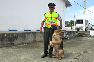 Siete canes divierten y brindan seguridad en Manabí – Ministerio de ...